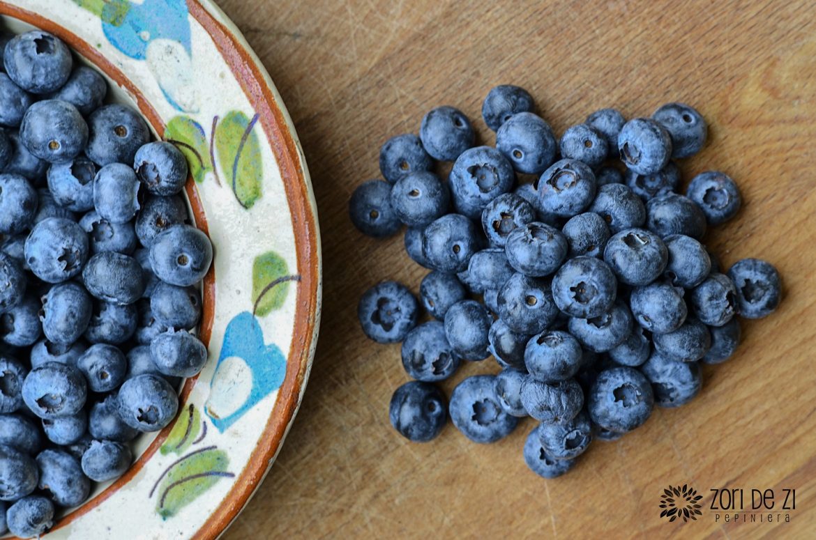 5 motive pentru care trebuie să consumi afinele - Produse naturale